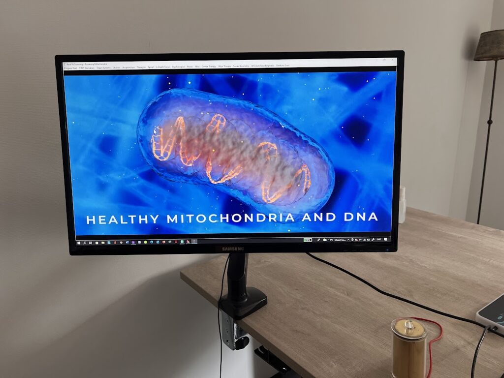 Quex-ED - Natuurgeneeswijze