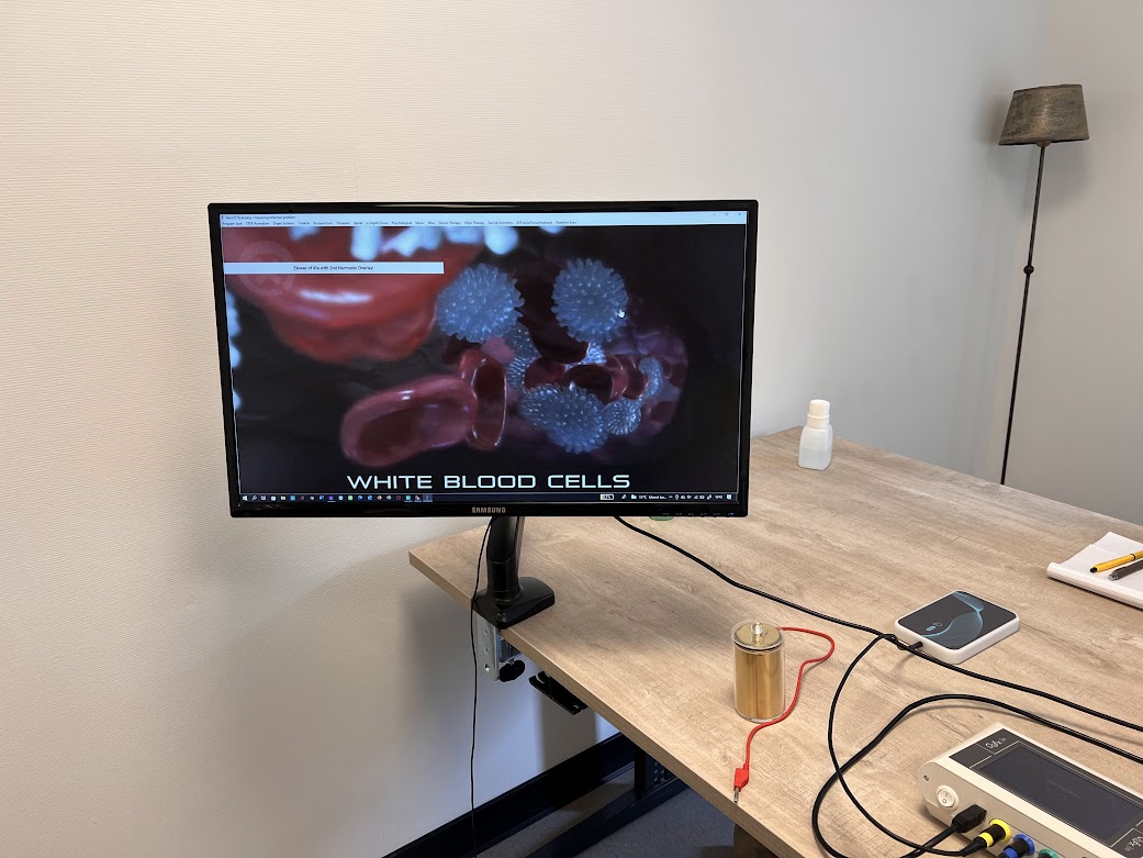 Quex-ED - Natuurgeneeswijze